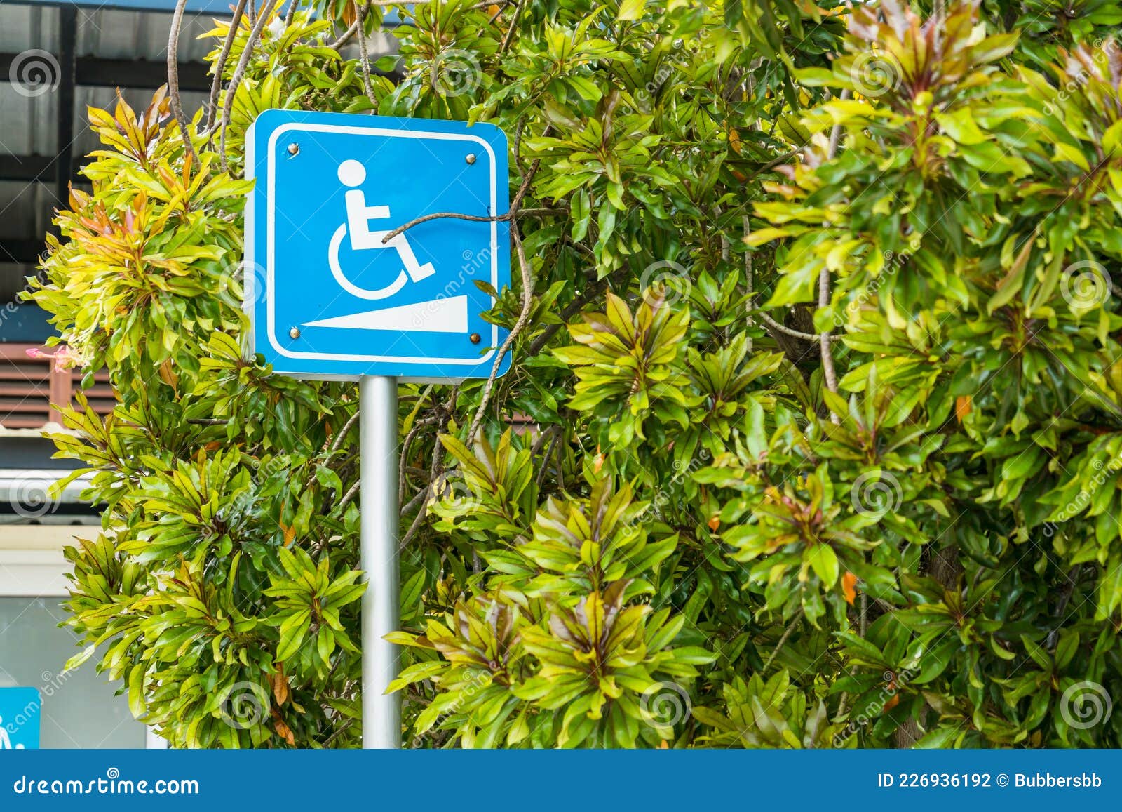 Sing Way For The Disabled. Wheelchair Sign Royalty-Free Stock Image ...