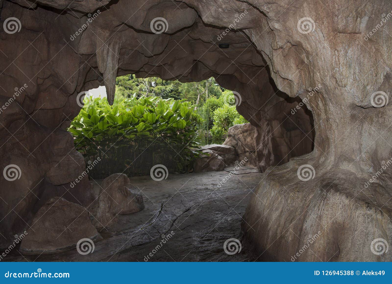 Grotto with Plants at Sentosa Editorial Stock Photo - Image of tree ...