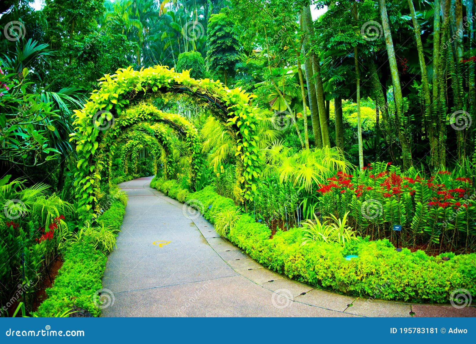 Singapore Botanic Gardens stock image. Image of botanic - 195783181