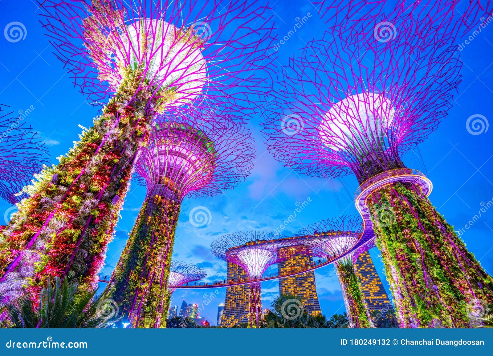 SINGAPORE - JANUARY 27, 2020: Supertrees at Gardens by the Bay. the ...
