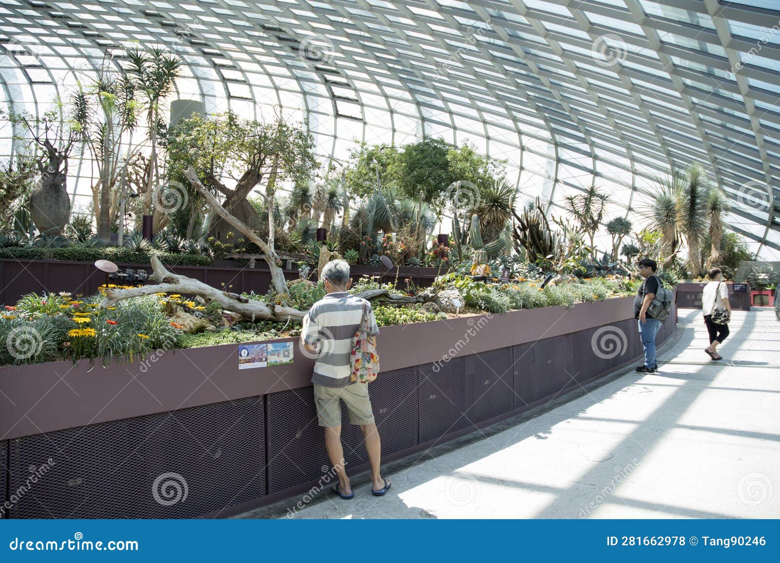 Inside View of the Flower Dome at Gardens by the Bay, Singapore ...