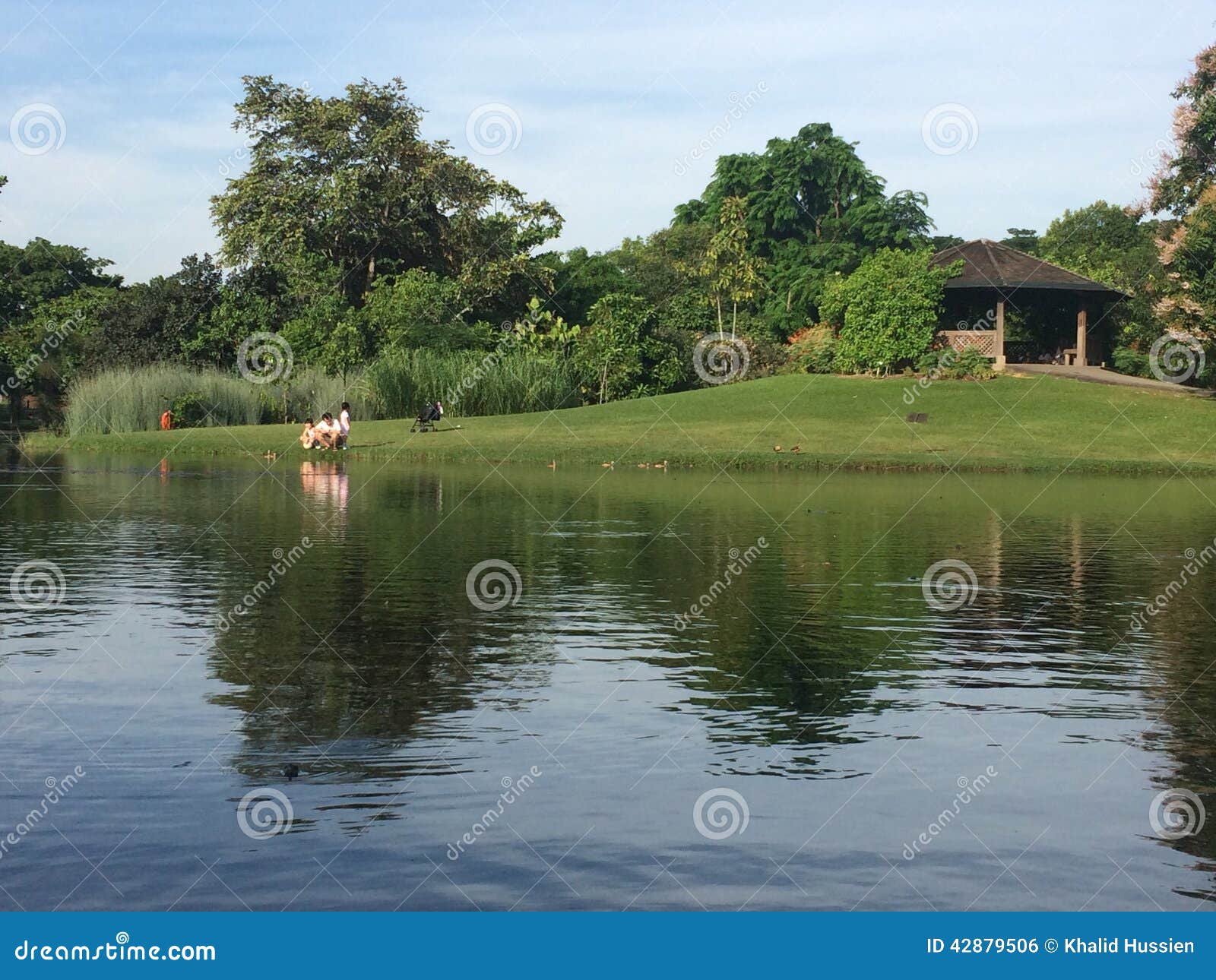 Singapore editorial photo. Image of awesome, lake, side - 42879506
