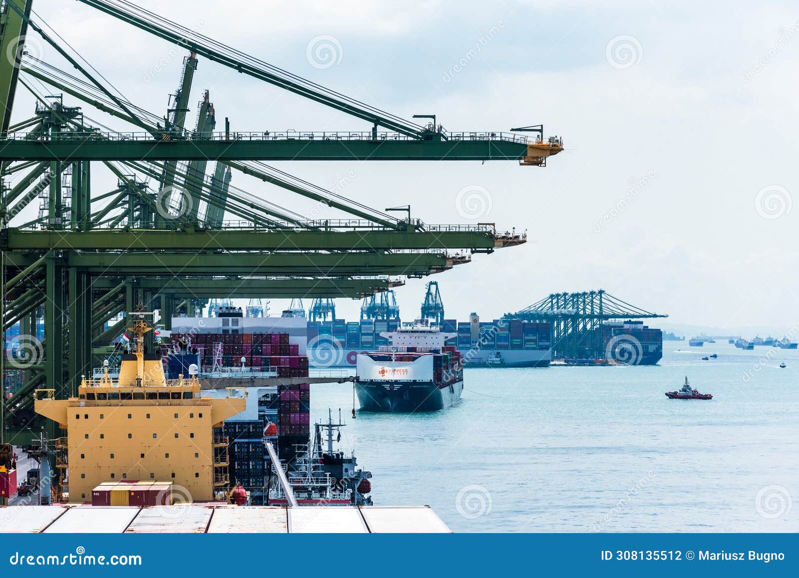Large Container Ship With Cargo In The Containers Berthed Under Gantry