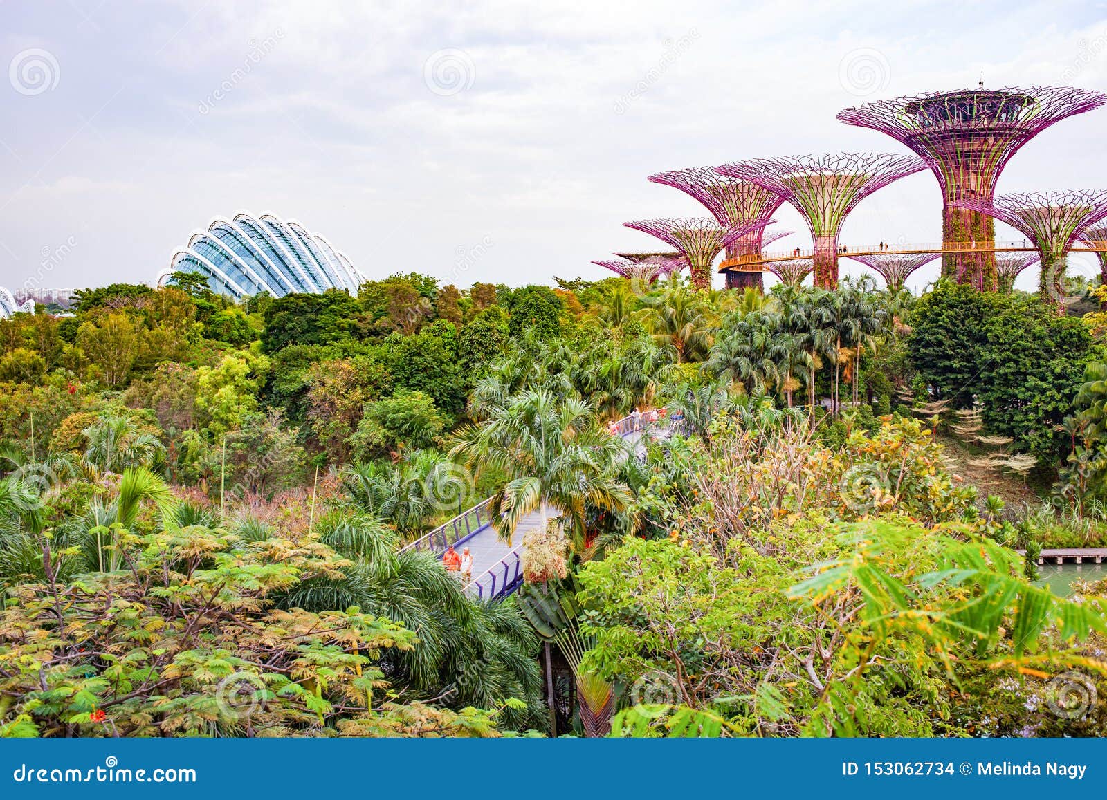 SINGAPORE, SINGAPORE - MARCH 2019: Supertrees in Gardens by the Bay ...