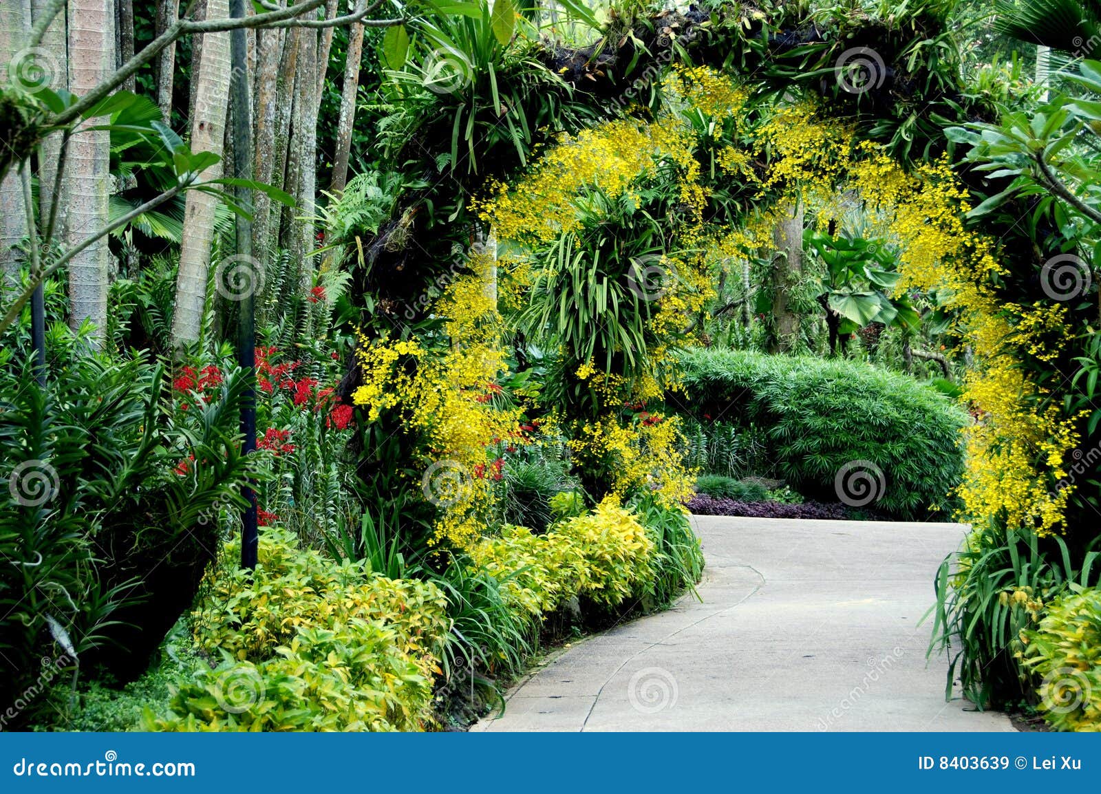 Orchid Garden, Part Of Botanic Gardens In Singapore Stock Photo ...