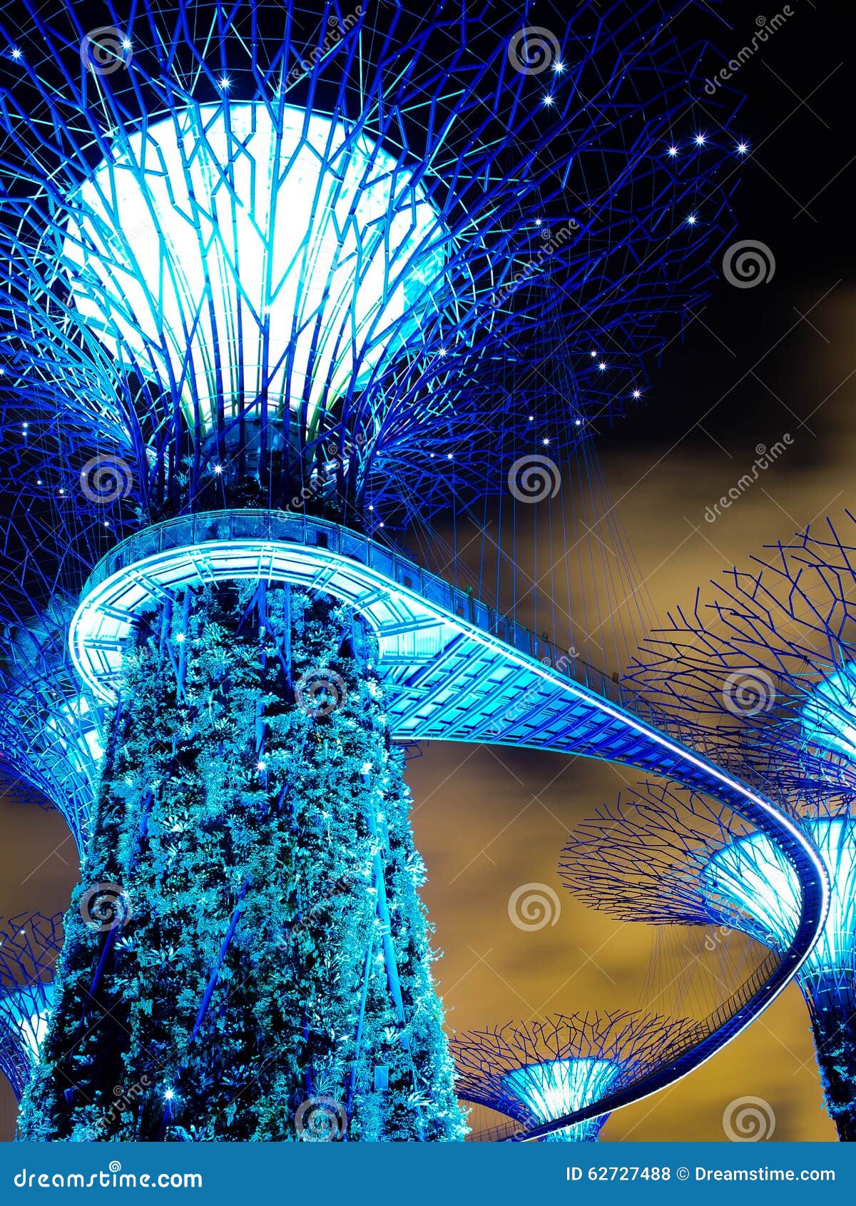 Singapore Super Trees at Night Stock Photo - Image of singapore, asia ...