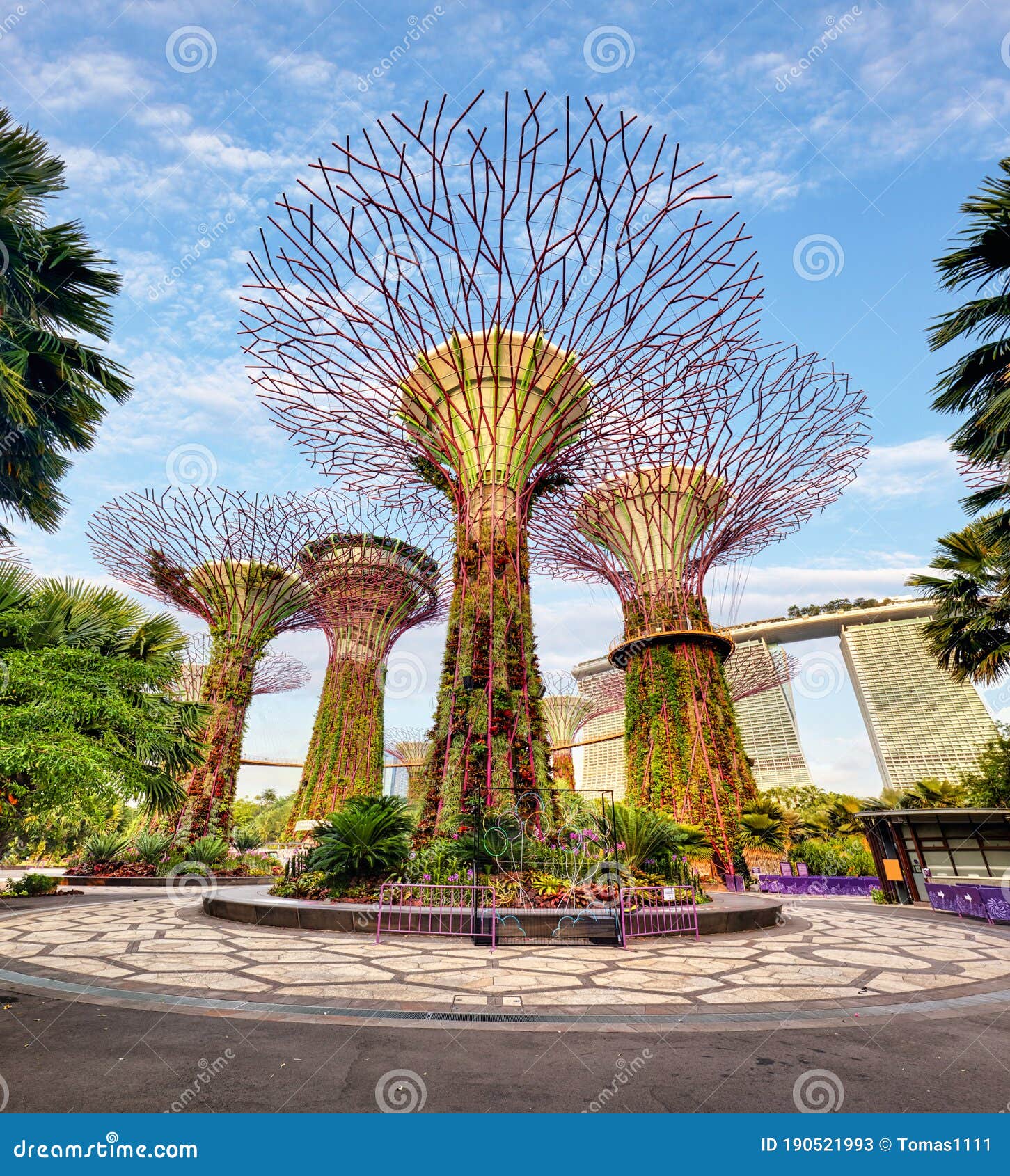 Singapore Supertrees in Garden by the Bay at Bay South Singapore ...