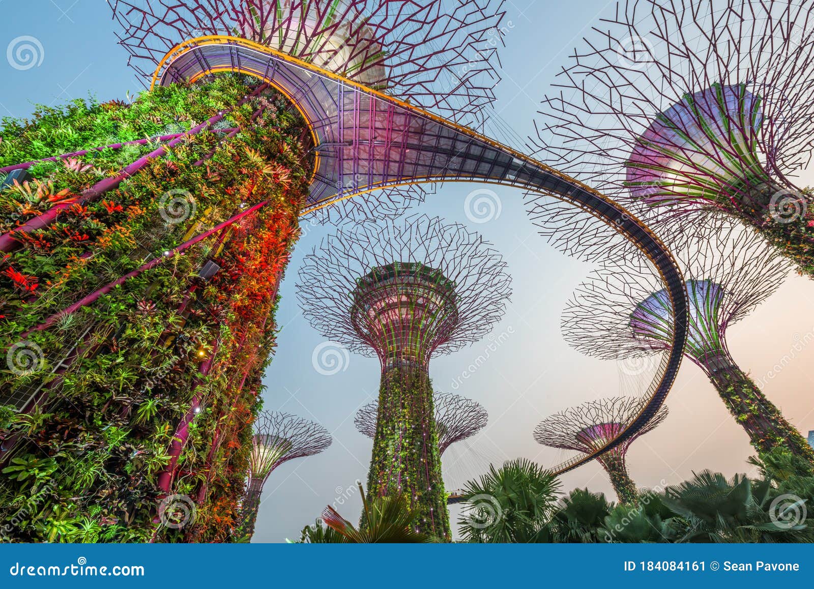 Singapore Supertrees editorial photo. Image of futuristic - 184084161