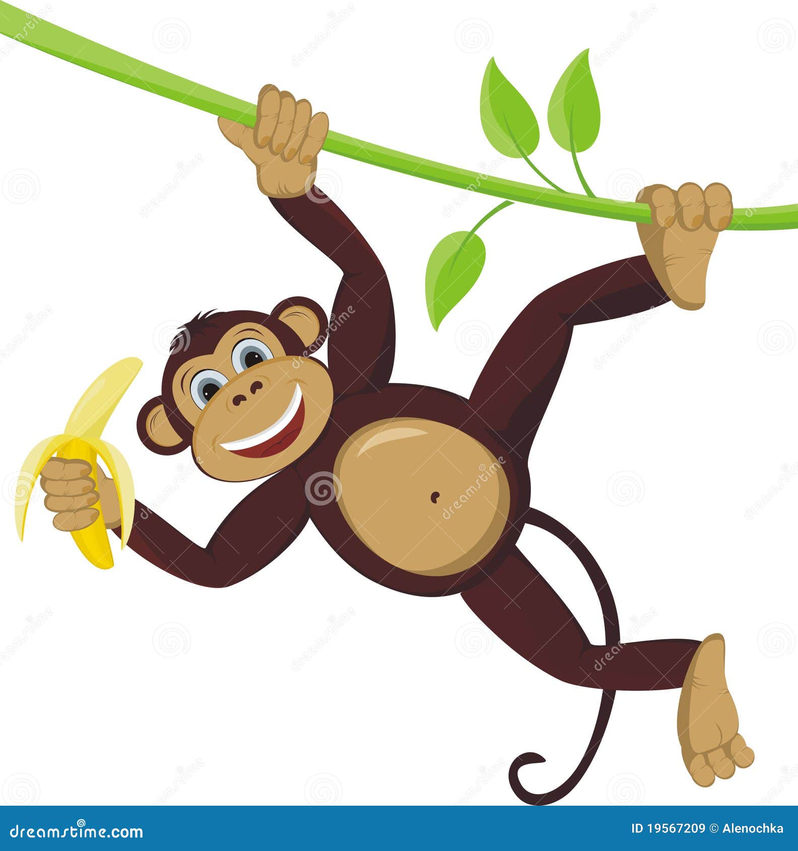 Singe illustration de vecteur. Illustration du safari - 19567209