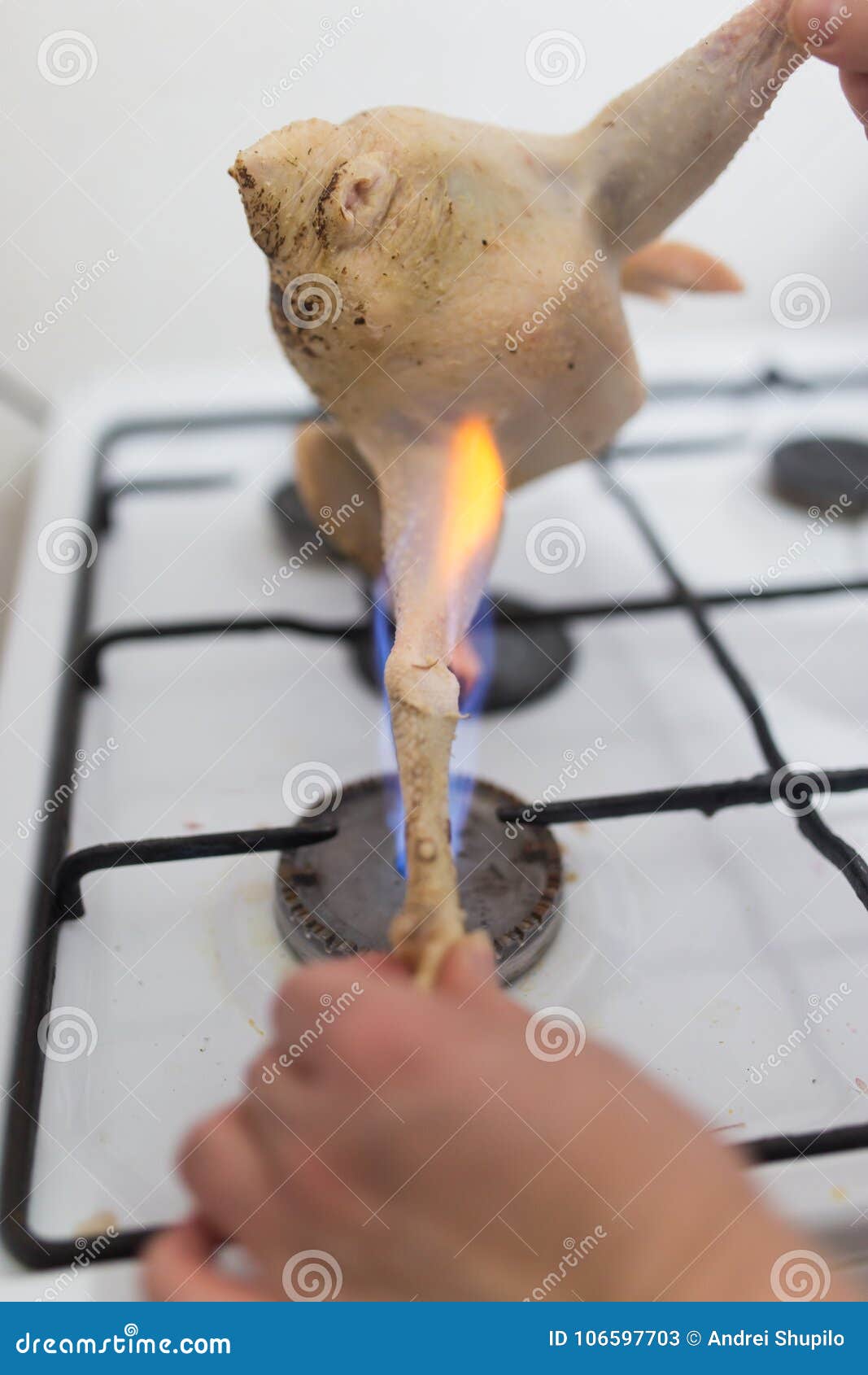 Singeing chicken on fire stock image. Image of barbecue - 106597703