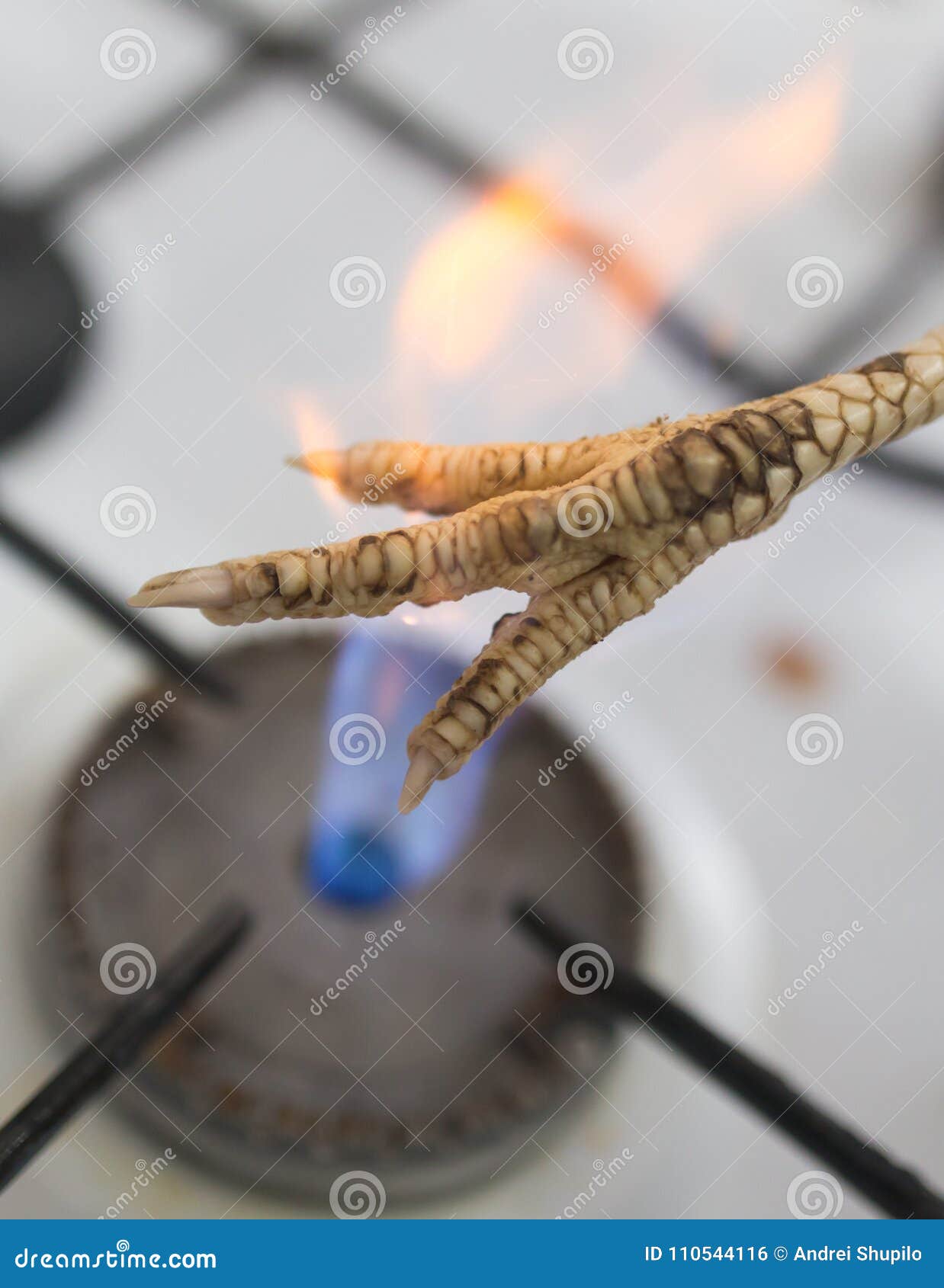 Singeing chicken on fire stock photo. Image of stove - 110544116