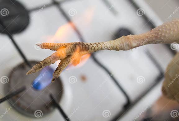 Singeing chicken on fire stock image. Image of singe - 106597663