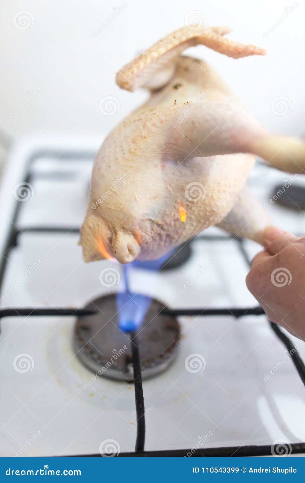 Singeing chicken on fire stock image. Image of roast - 110543399