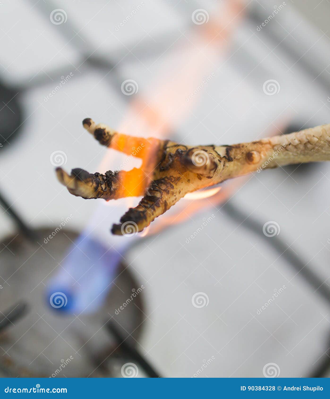 Singeing chicken on fire stock photo. Image of lifestyle - 90384328