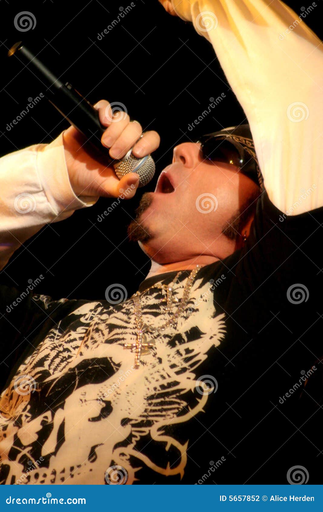 Singer of a band stock photo. Image of heavy, rock, singer - 5657852