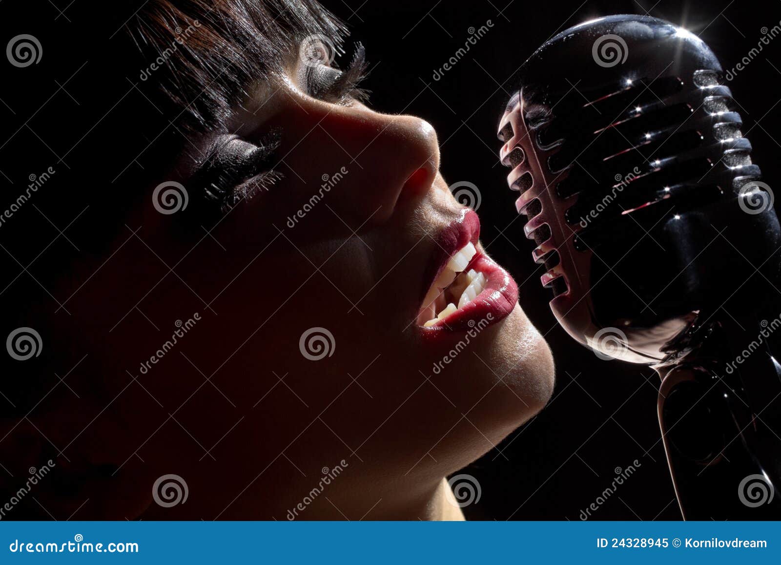 Singer with microphone stock image. Image of retro, music - 24328945