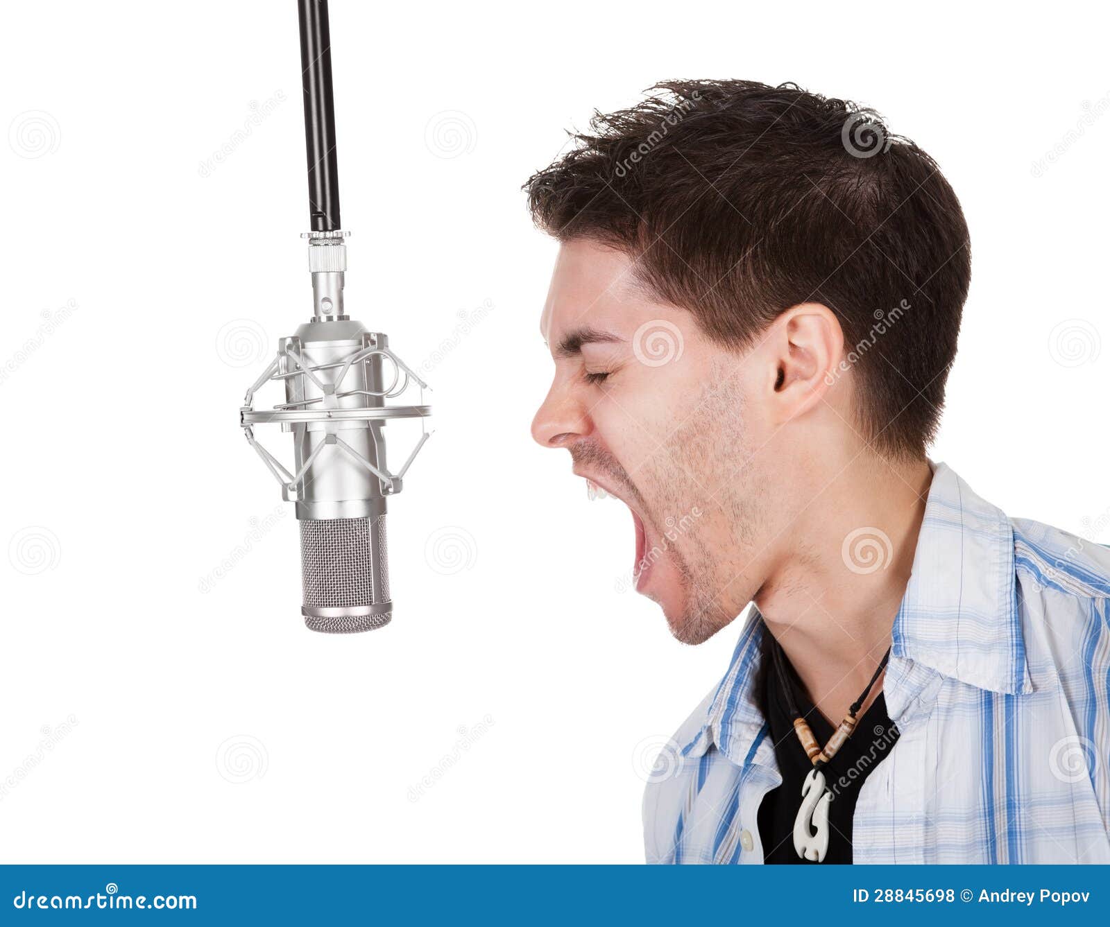 Singer and microphone stock photo. Image of performing - 28845698