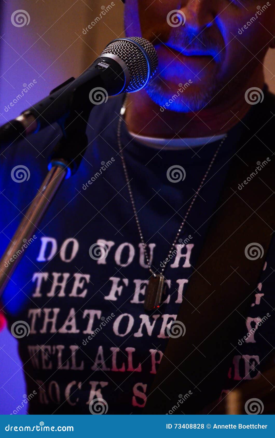 Singer stock photo. Image of playing, music, musician - 73408828