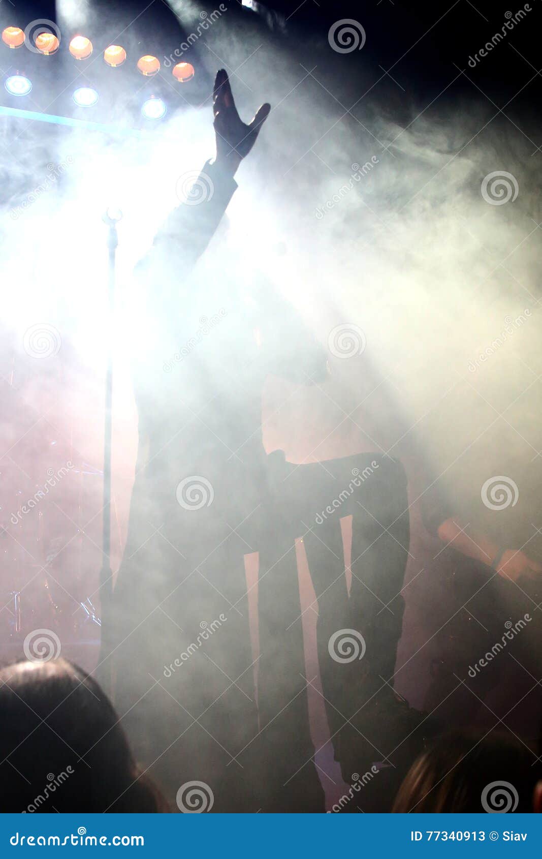 Singer on stage stock image. Image of instrument, electric - 77340913