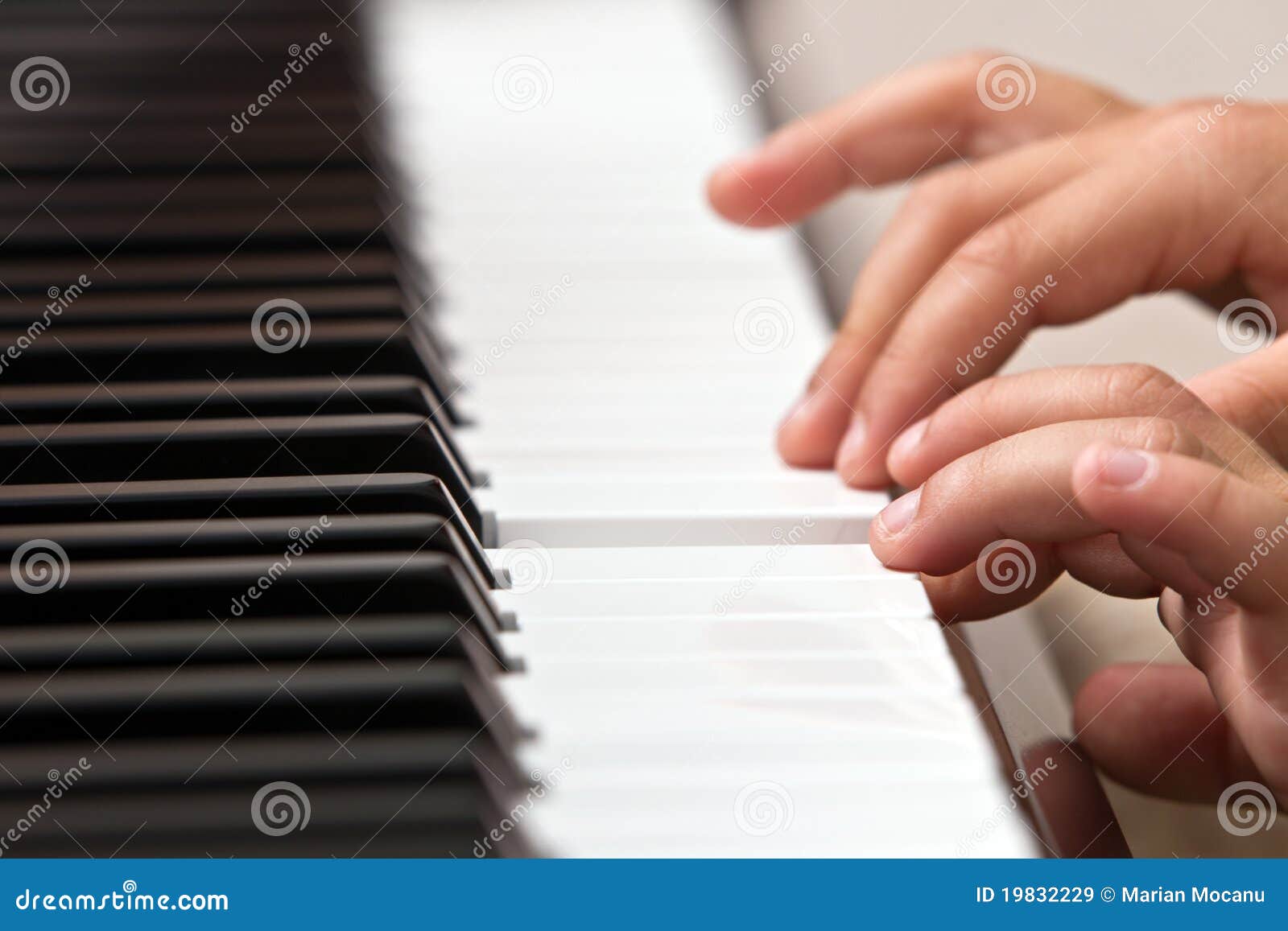 Singing stock image. Image of human, concert, keyboard - 19832229