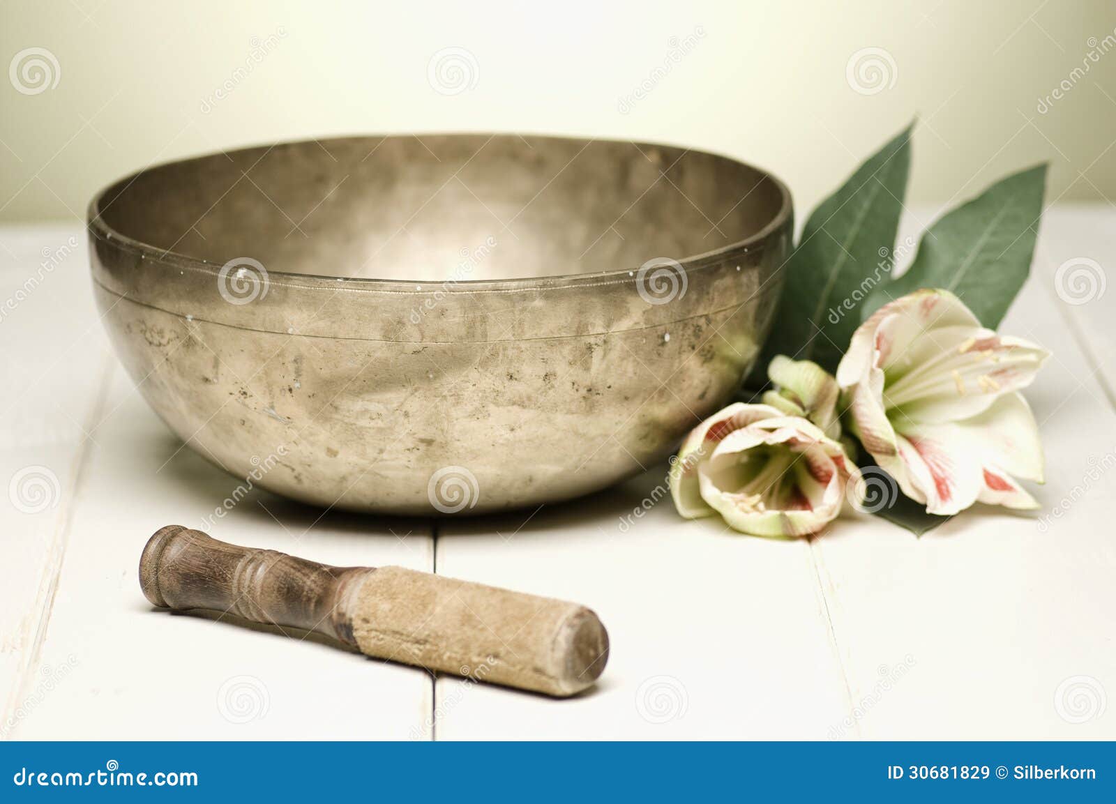 Singing bowl stock image. Image of bowl, sound, wellbeing - 30681829