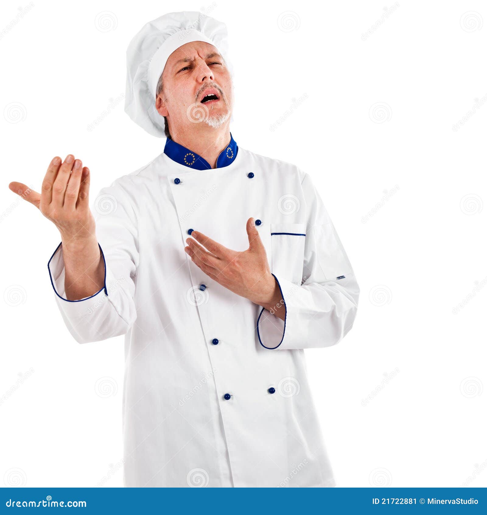 Singing chef stock image. Image of smile, dinner, expert - 21722881