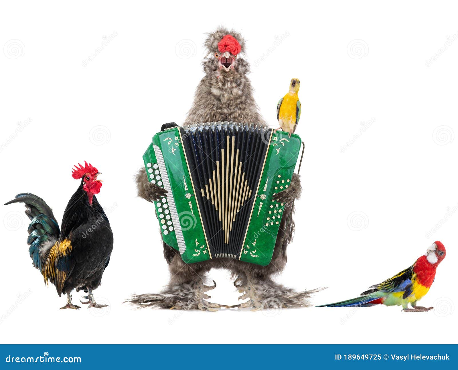 Singing Red Rooster Royalty-Free Stock Photo | CartoonDealer.com #38368245