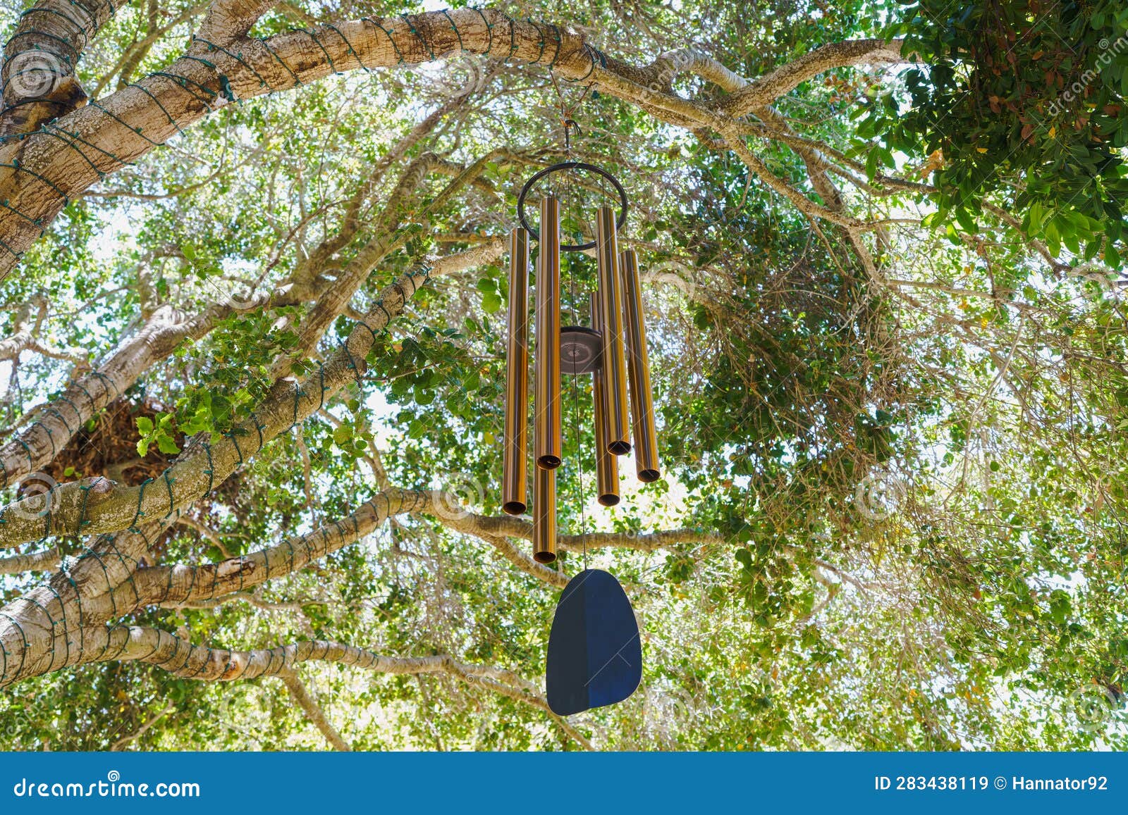 The Singing Tree. Wind Chime on a Tree, Close-up View from Below Stock ...
