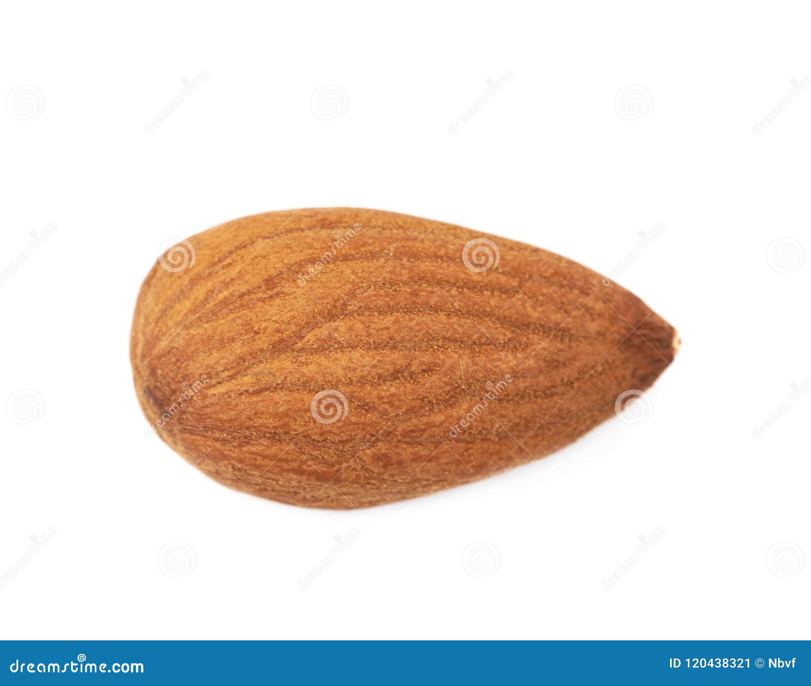 Single almond isolated stock image. Image of protein - 120438321