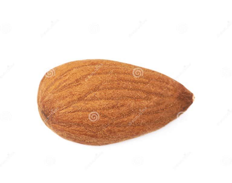 Single almond isolated stock image. Image of protein - 120438321