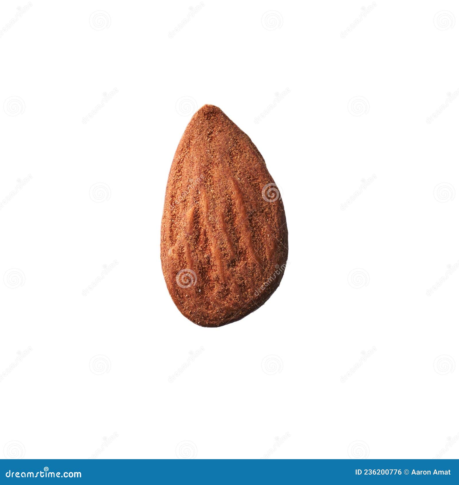 Single Almond Isolated Over White Background Stock Photo - Image of ...