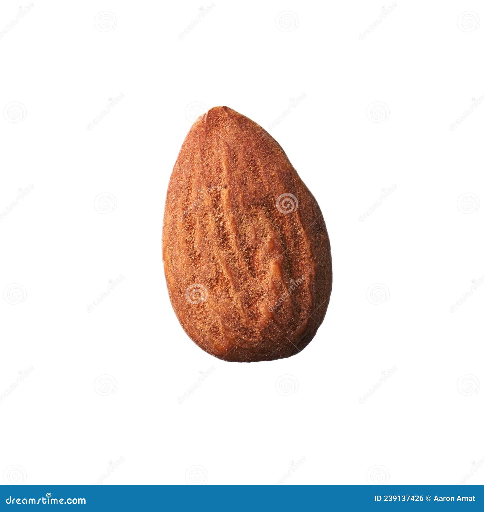 Single Almond Isolated Over White Background Stock Photo - Image of ...
