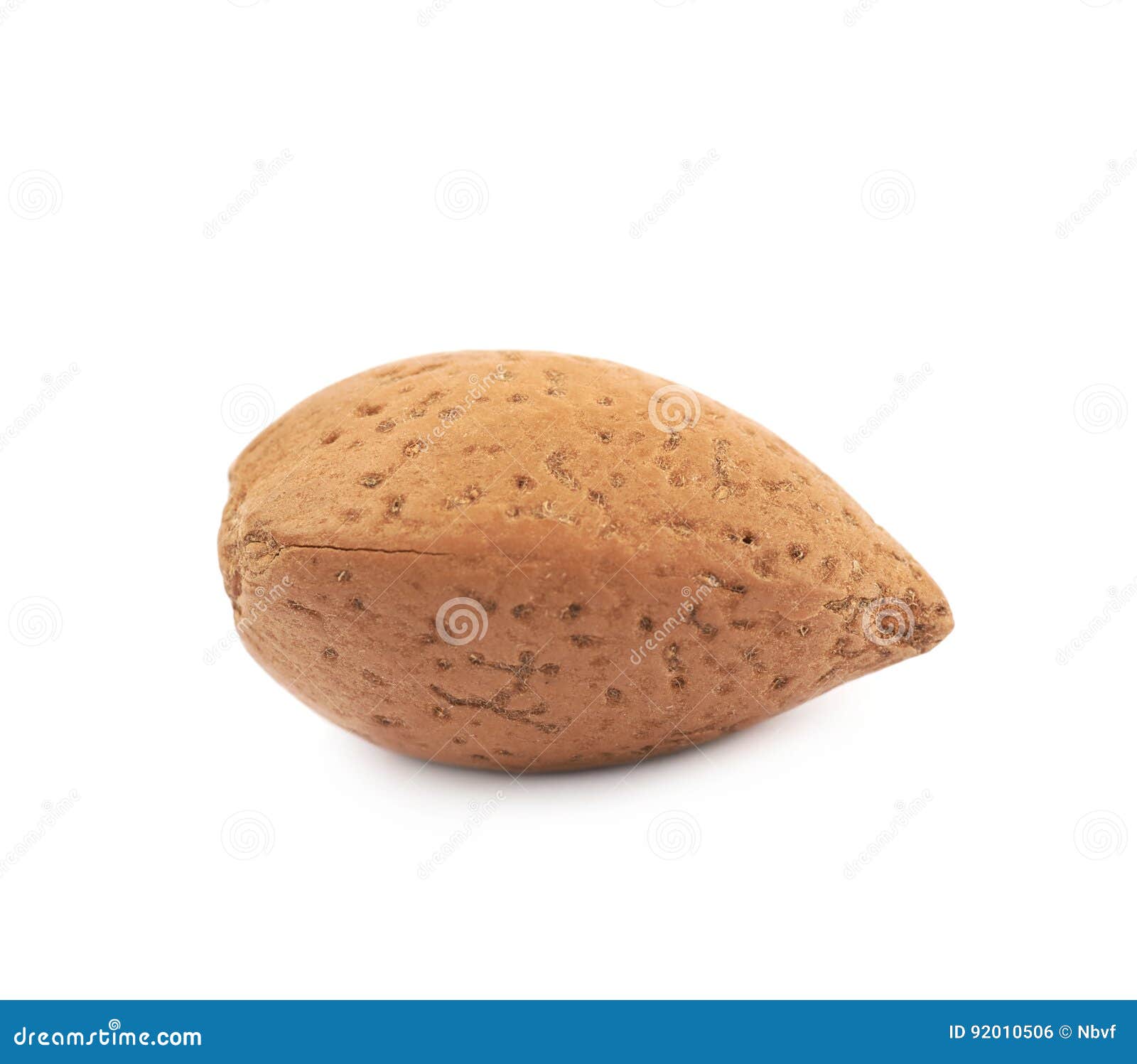 Single almond nut isolated stock photo. Image of macro - 92010506