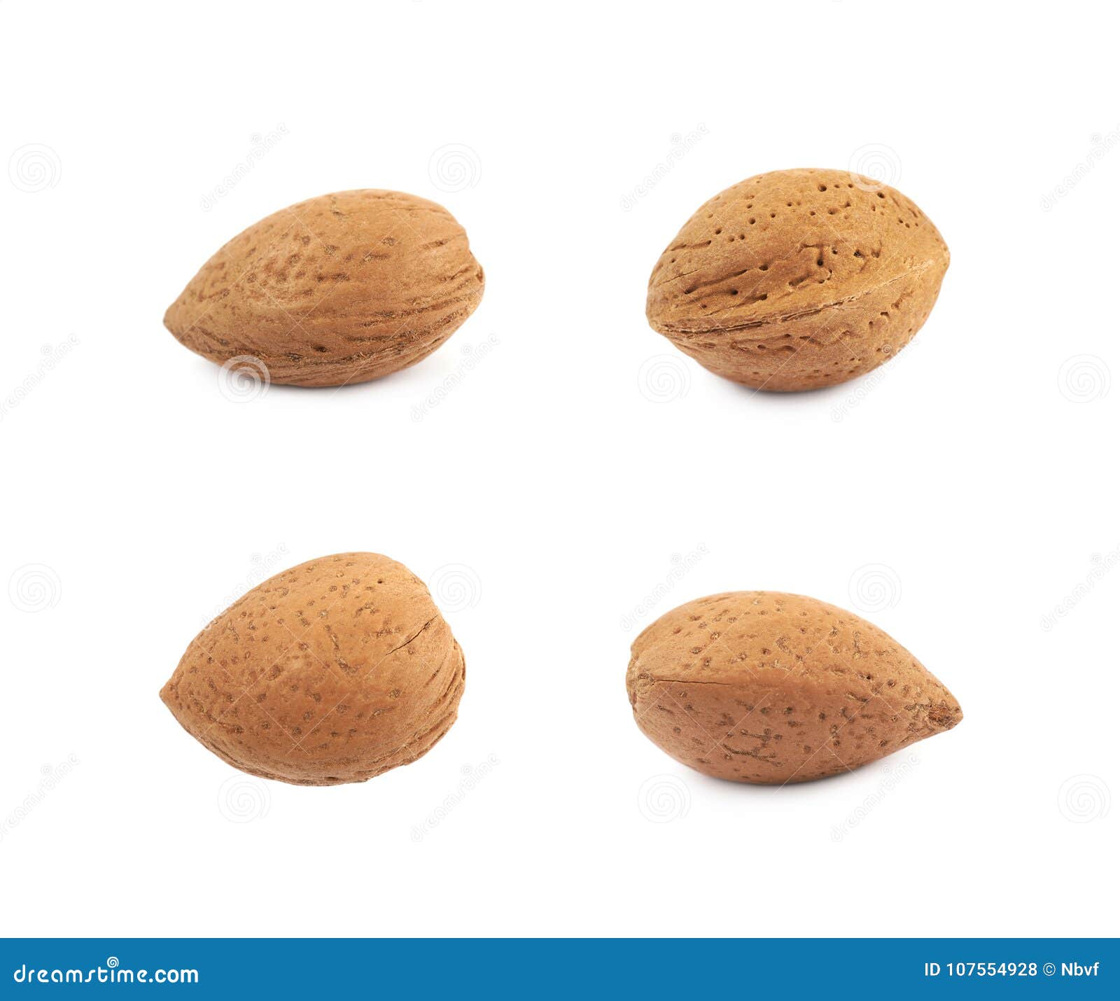 Single almond nut isolated stock photo. Image of plant - 107554928 Single almond nut isolated stock photo. Image of plant - 107554928