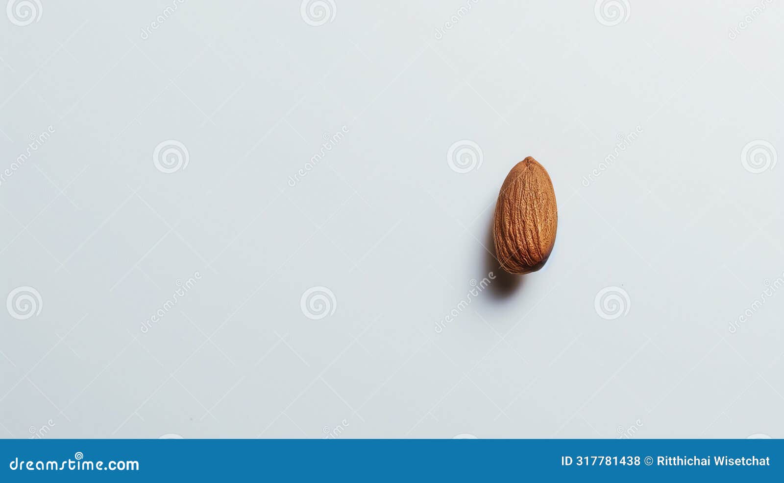 A Single Almond Nut on a Plain White Background, Showcasing Its Texture ...