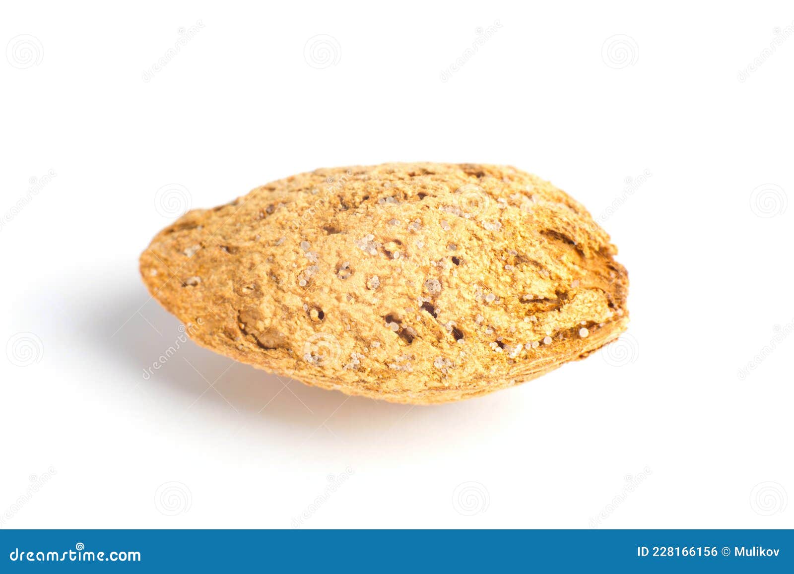 Single Almond Seed Close Up Isolated on White Background Stock Photo ...