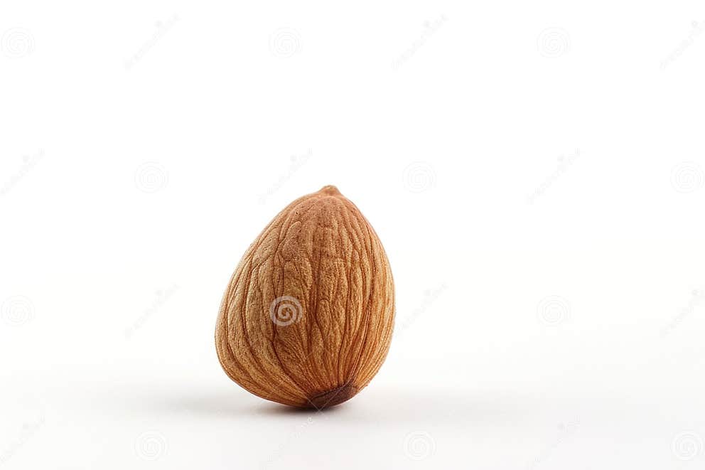 A Single Almond Sits Alone on a White Surface Stock Photo - Image of ...