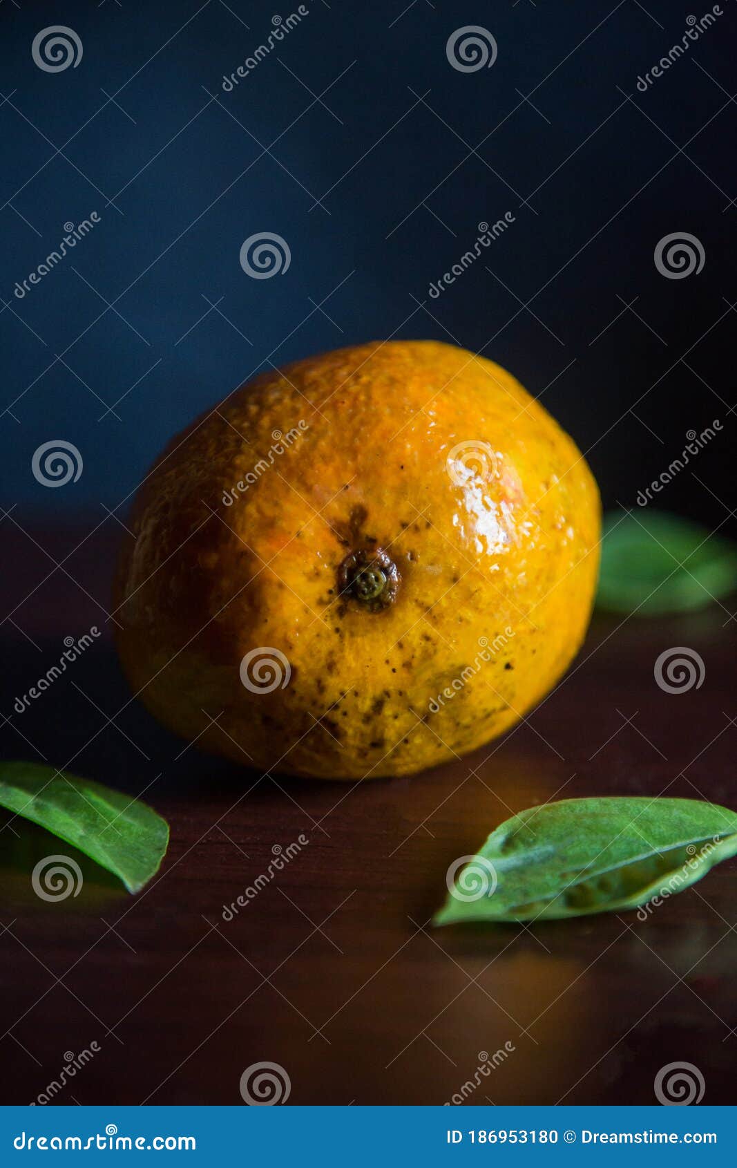 Single Alphonso Mango Against Dark Background Stock Photo - Image of ...