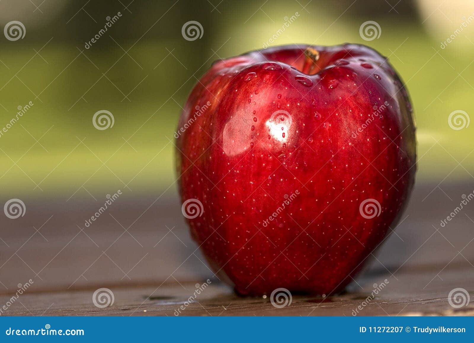 Single Apple stock image. Image of apple, delicious, healthy - 11272207
