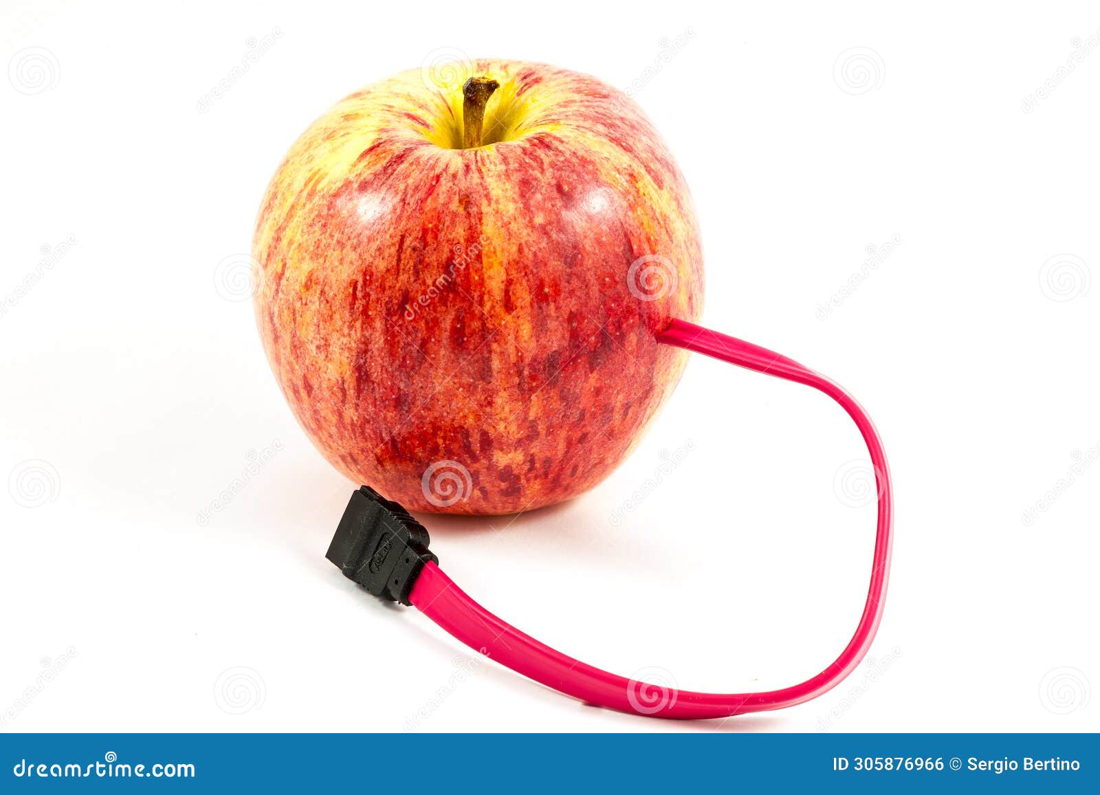 Single Apple with Computer Cable Plugged in it Stock Photo - Image of ...