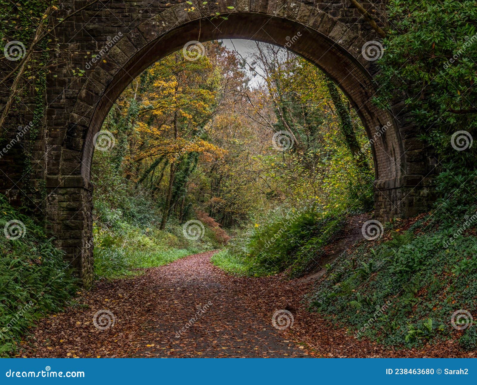 Single Arch Old Bridge on the Tarka Trail in North Devon. Autumn. Stock ...