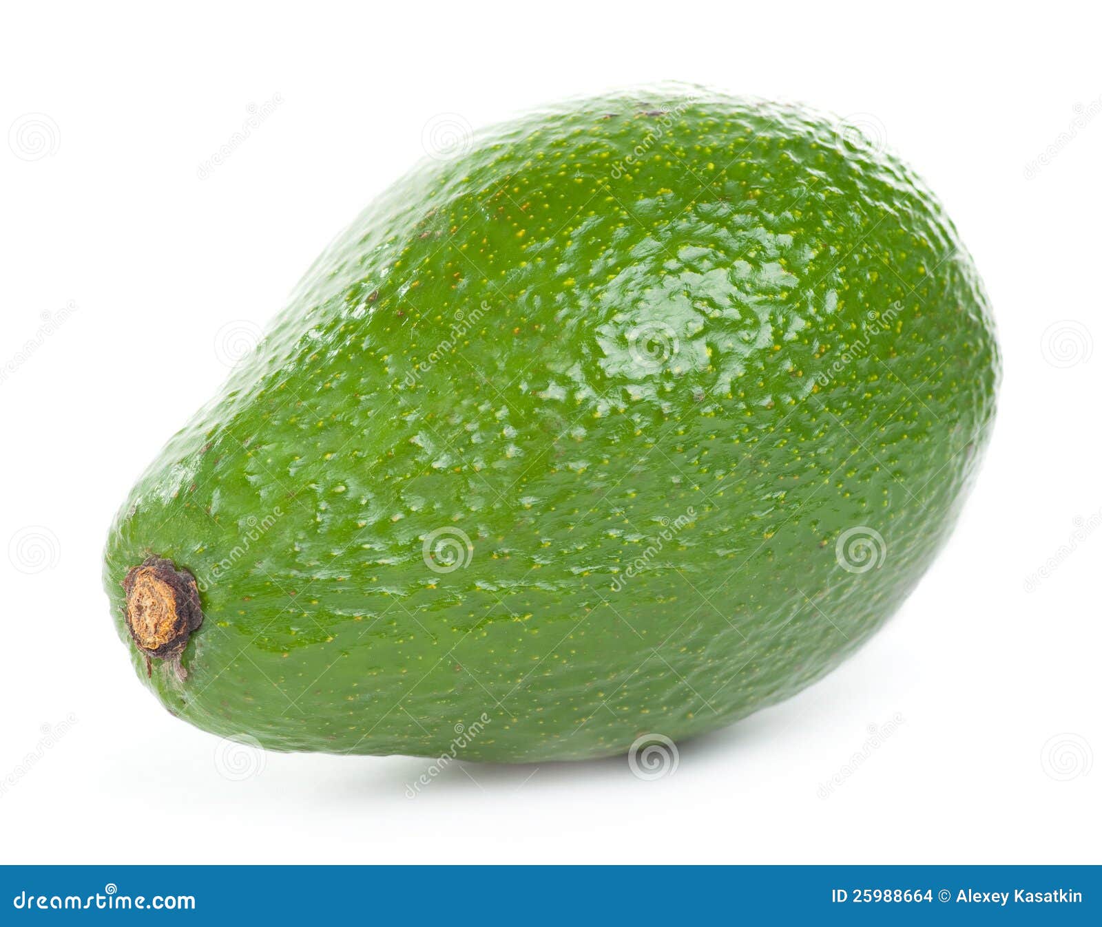 Single avocado stock photo. Image of freshness, healthy - 25988664