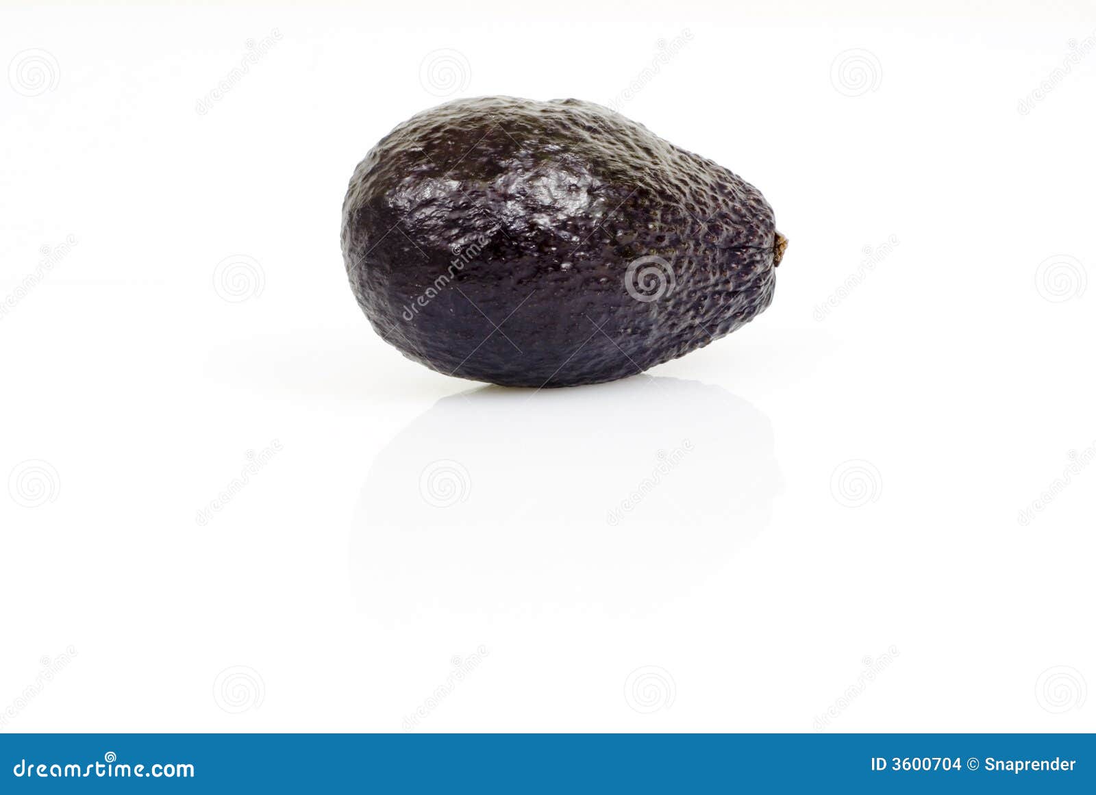 Single Avocado Fruit stock photo. Image of vegetarian - 3600704