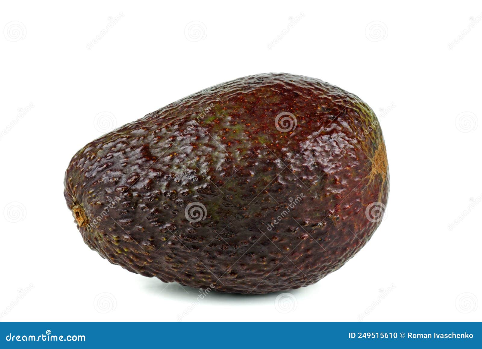 Single Avocado Isolated on a White Stock Photo - Image of diet ...