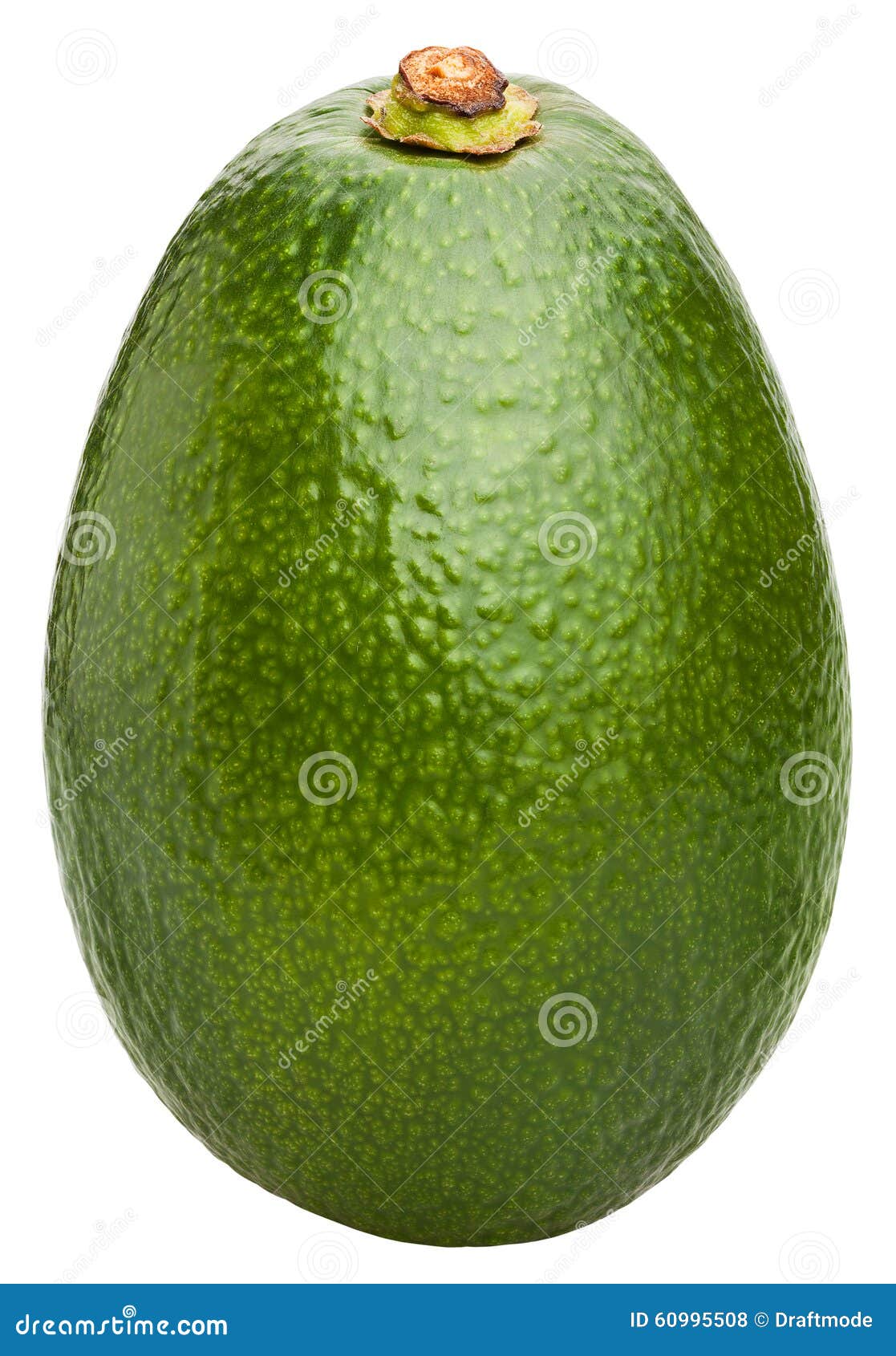 Single avocado stock photo. Image of organic, avocado - 60995508