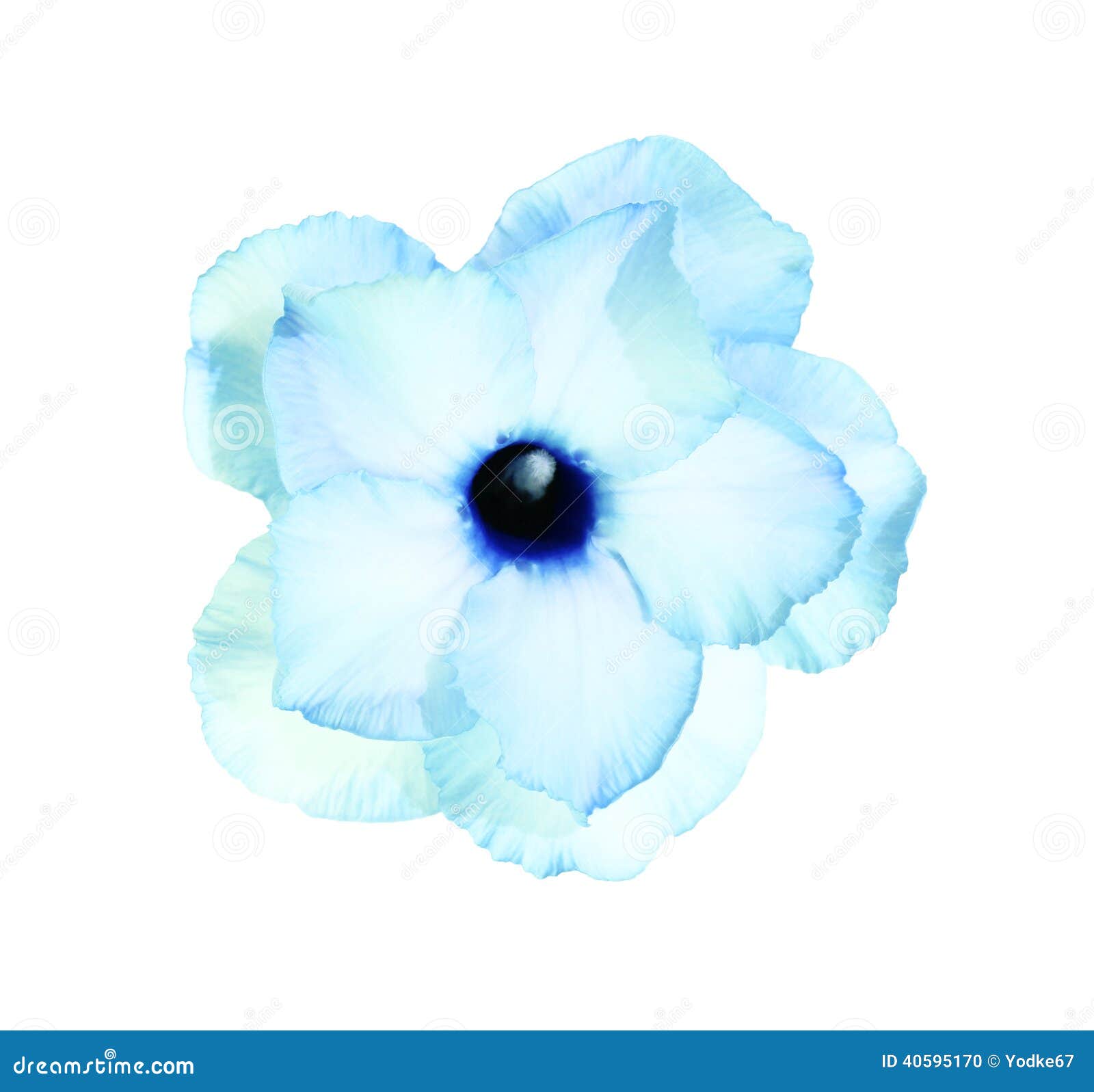 Single azalea flowers stock photo. Image of flower, fresh - 40595170