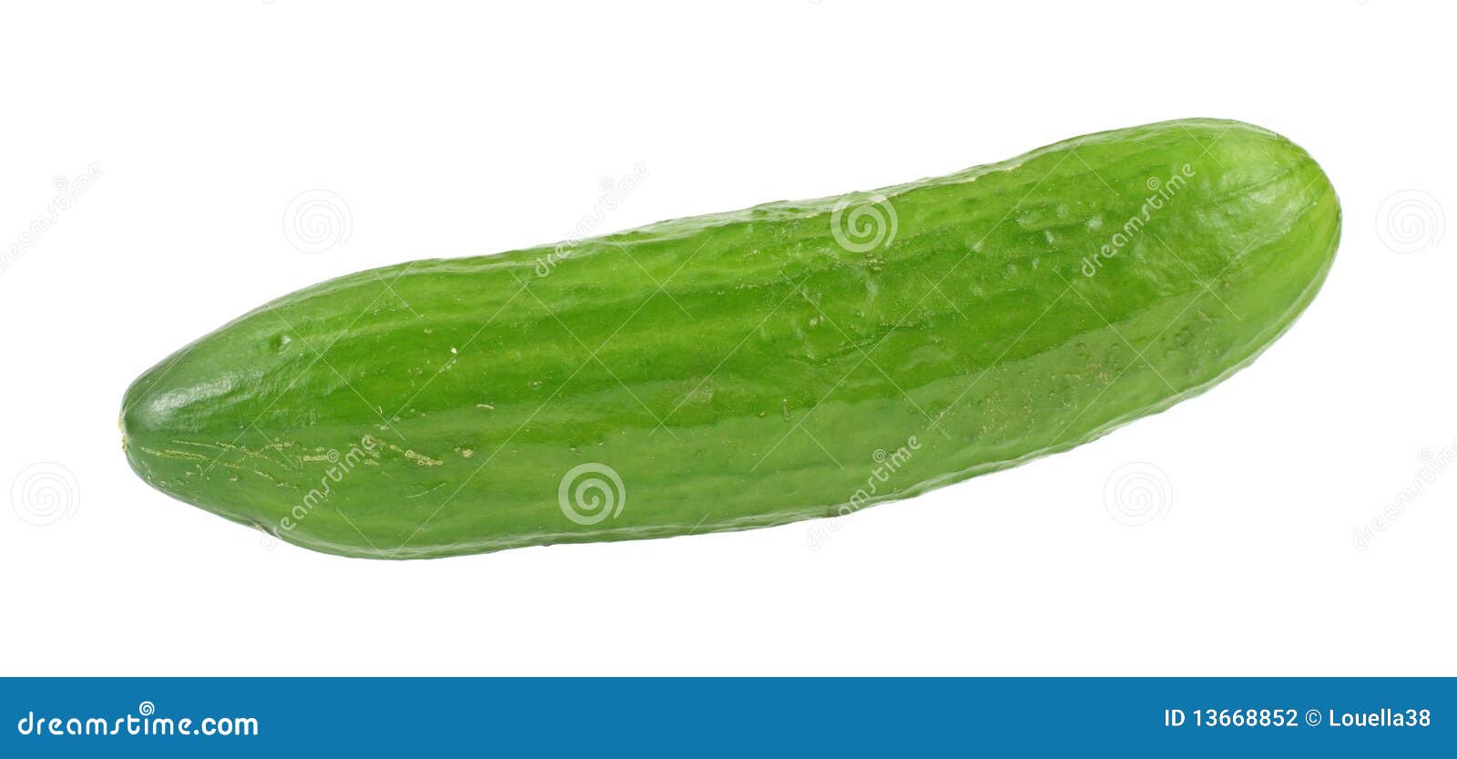 Single Baby Cucumber stock photo. Image of great, crisp - 13668852