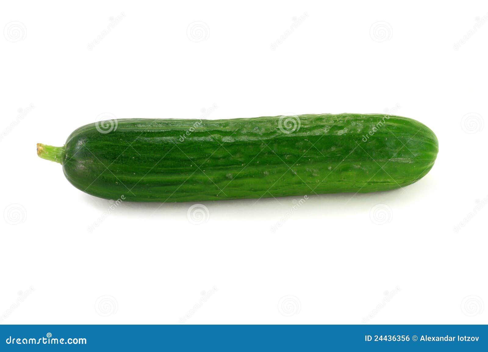 Single Baby Cucumber. stock photo. Image of delicious - 24436356