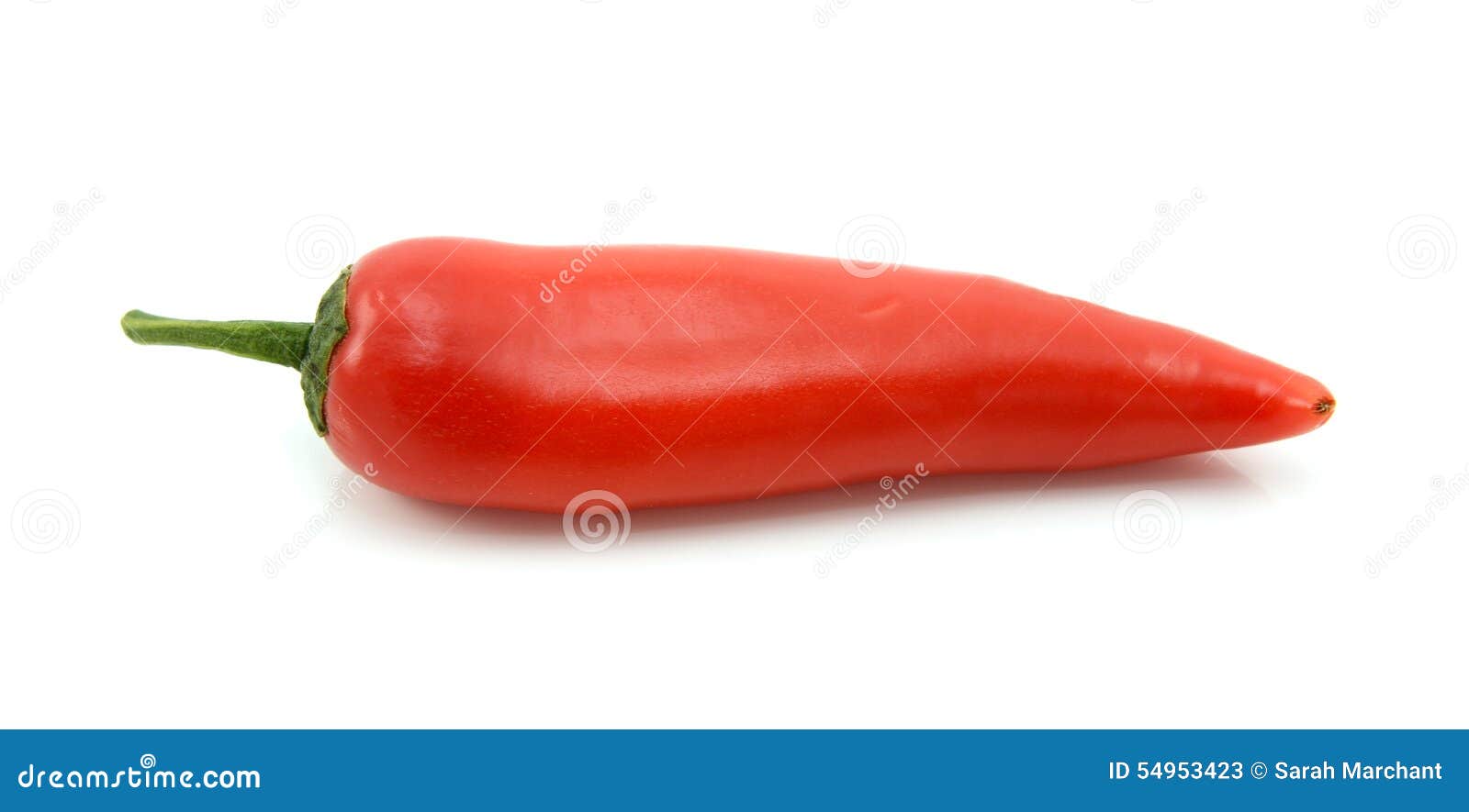 Single baby red pepper stock image. Image of healthy - 54953423