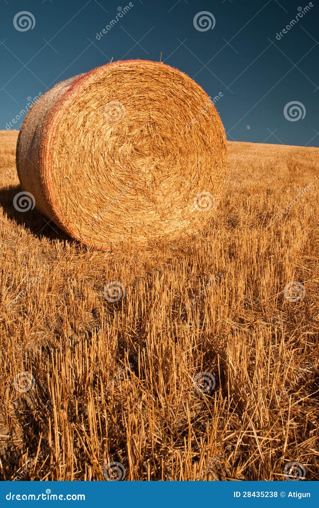 A single bale of hay stock photo. Image of feed, corn - 28435238